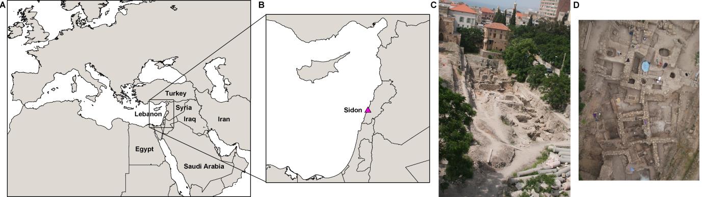 BU Research Blog | Present-day Lebanese descend from Biblical ...