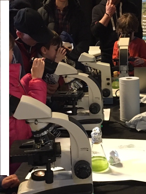 BU Research Blog | Family Science Festival success to celebrate ...