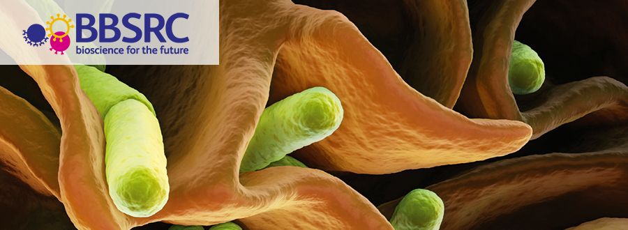 BU Research Blog | NEW: BBSRC delivery plan 2019 | Bournemouth University