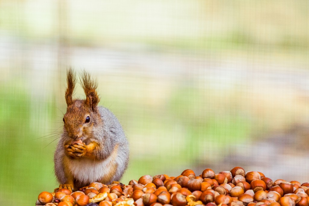 BU Research Blog | ACORN Funding Workshop for Early Career Researchers ...